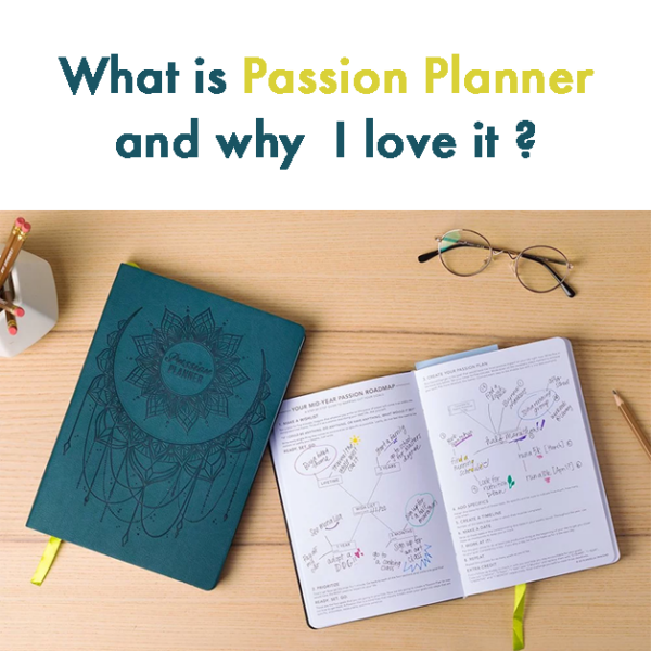 15+ Passion Planner Inspiration ideas to try in 2022: