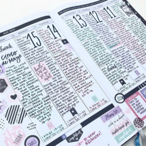 15+ Passion Planner Inspiration ideas to try in 2022: